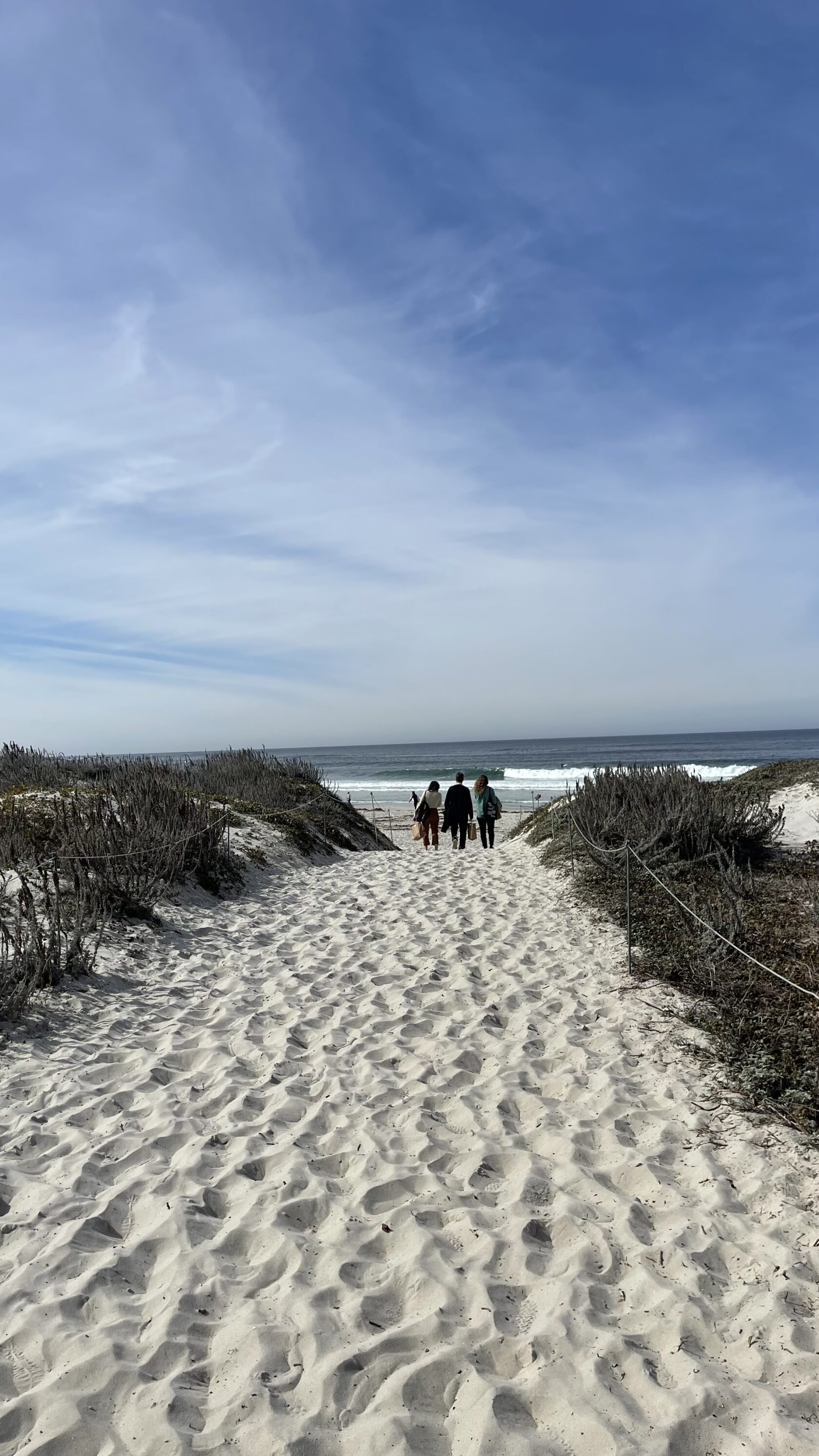 MA Attends Monterey Design Conference • Mogavero Architects